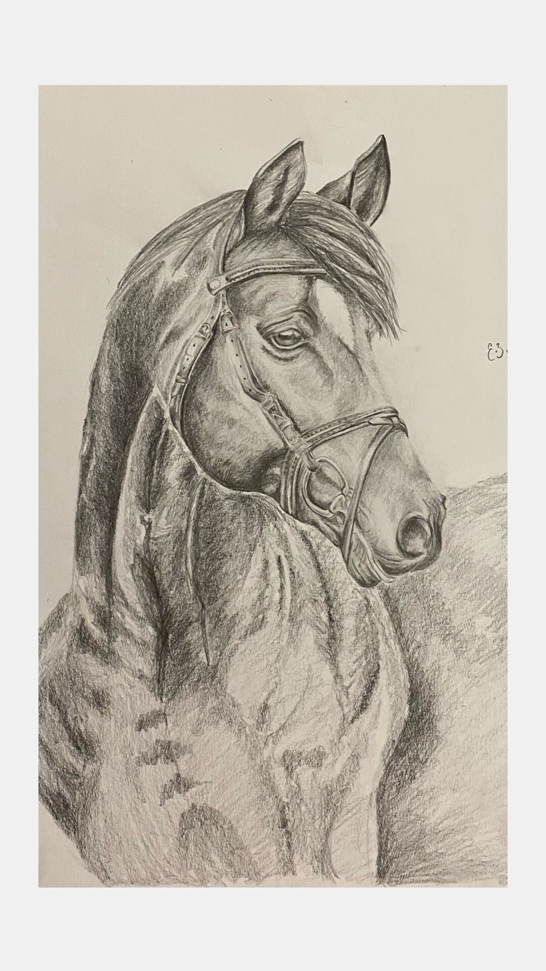 Charcoal Horse Drawing | Etsy