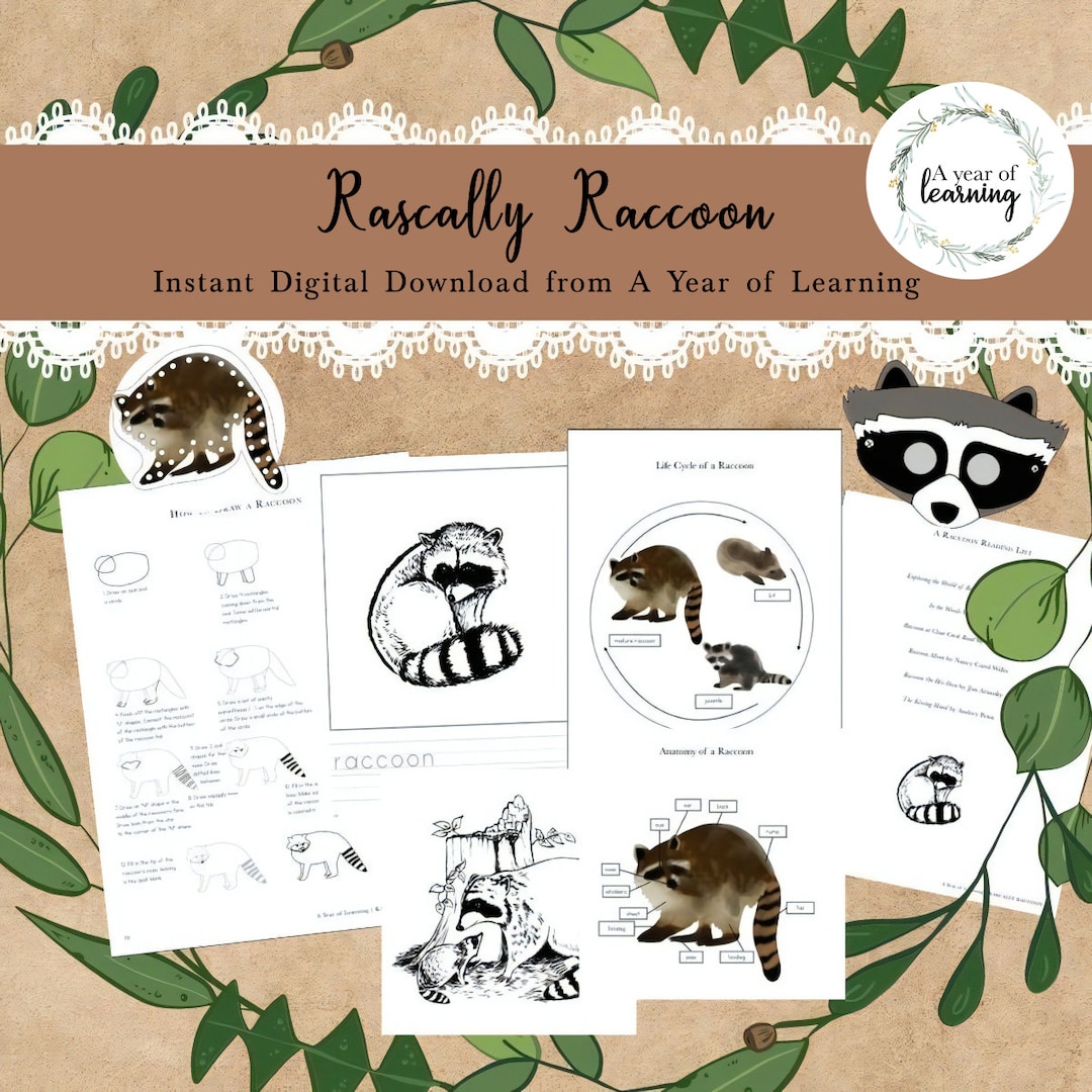 Rascally Raccoon Collection - Etsy