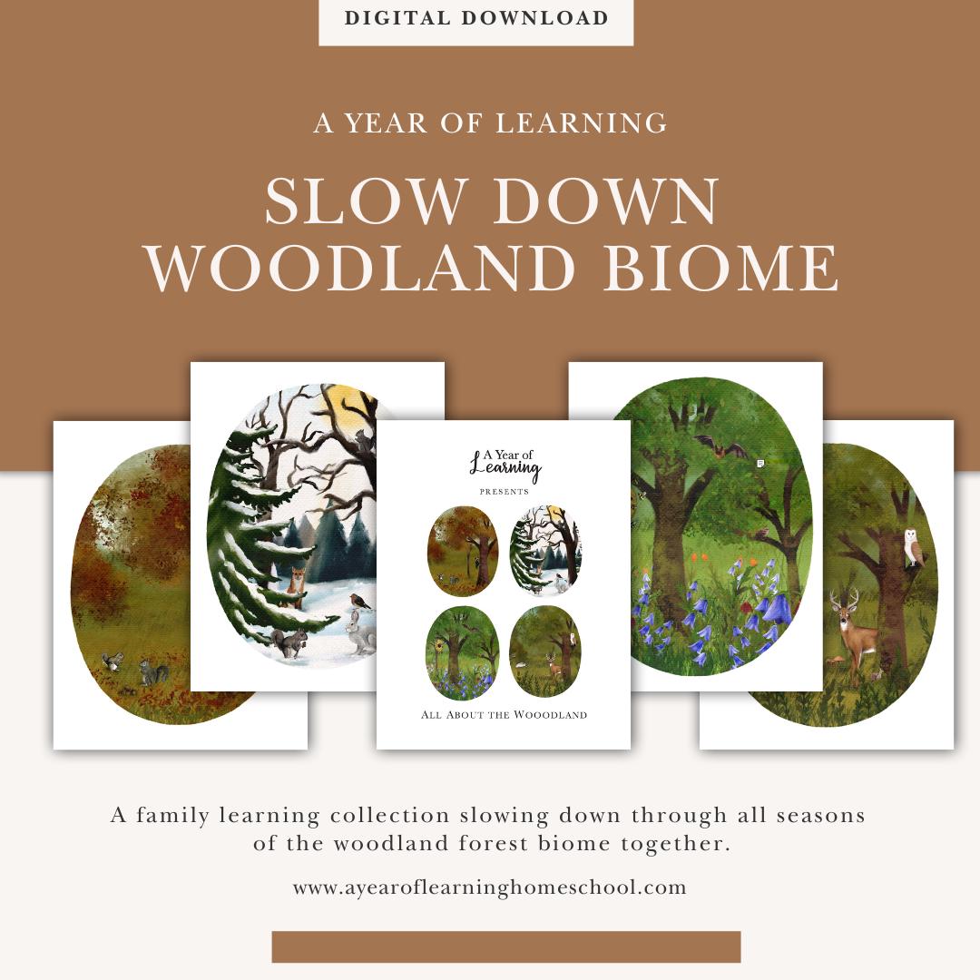 Slow Down Woodland Biome Collection - Etsy