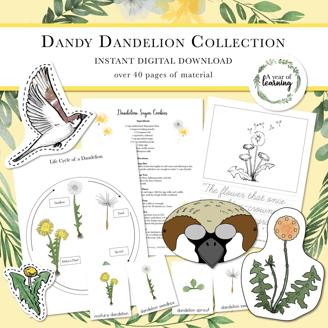 Dandy Dandelion Collection - Etsy