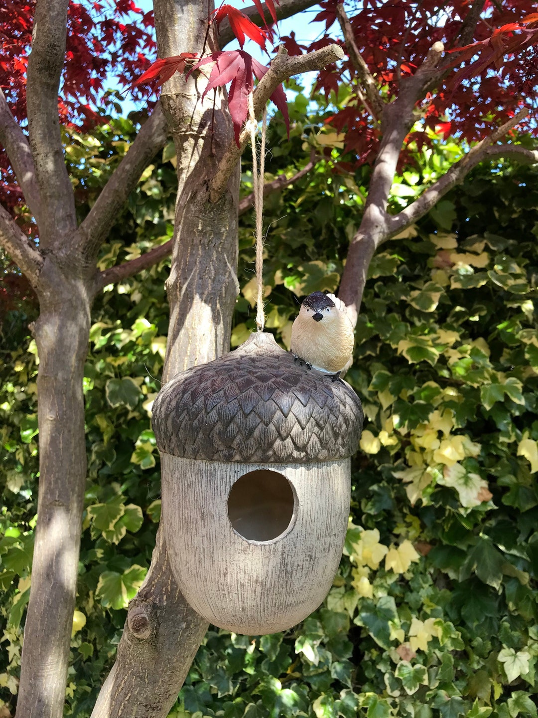 Hanging Acorn Bird House Nesting Box - Etsy UK