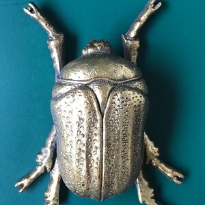 Small Scarab Beetle Wall Art. Insect Décor. Decorative Aged Gold Finish ...
