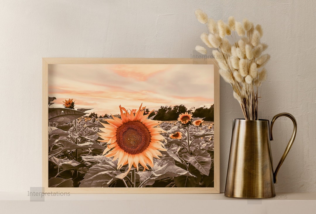 Sunflower Print, Sunflowers Field Botanical Printable Art, Nature Wall ...