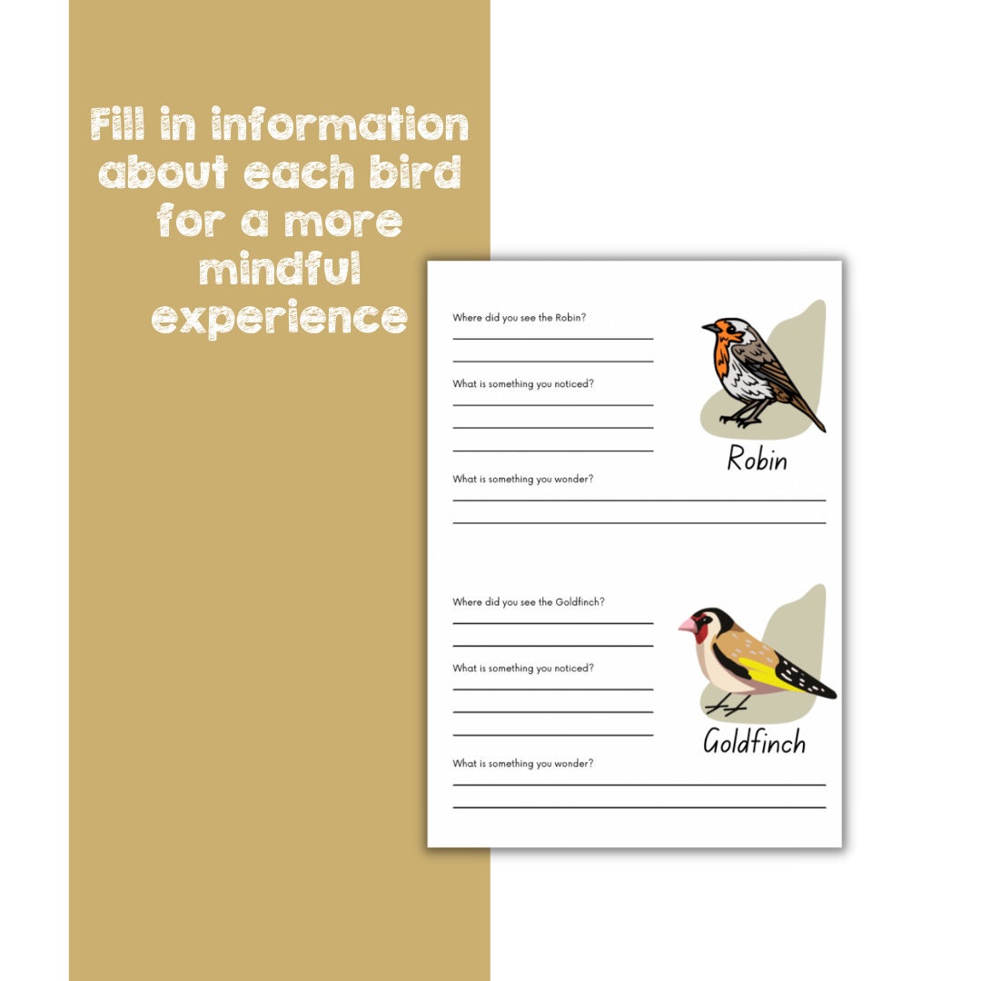 Mindful Bird Watching Activity for Kids - Etsy