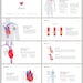 Cardiology Powerpoint Template - Medical Template - Etsy