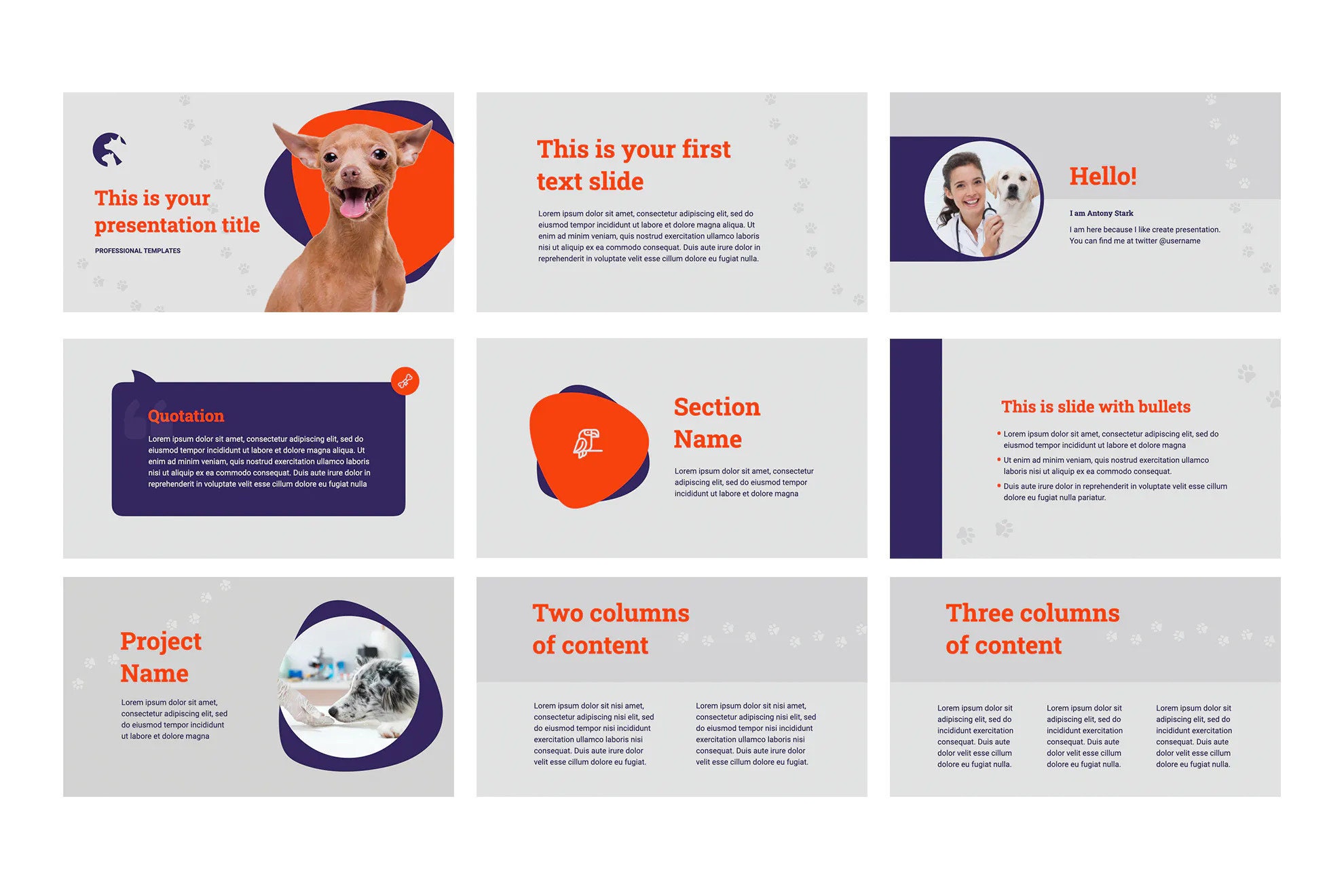 Pets and Veterinary Clinic Powerpoint Template | Pet Hotel PPT - Etsy
