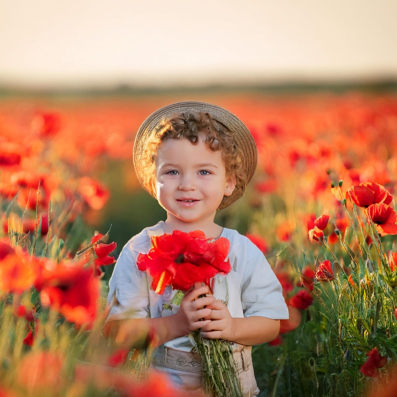 Poppy Field Digital Background, Poppy Field, Poppy Field Digital ...