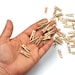 Tiny Clothespins Small Clothes Pins Mini Clothespins Natural - Etsy