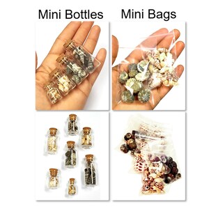 Mini Sea Shells for Beach Themed Crafts and Wedding Party Favors ...