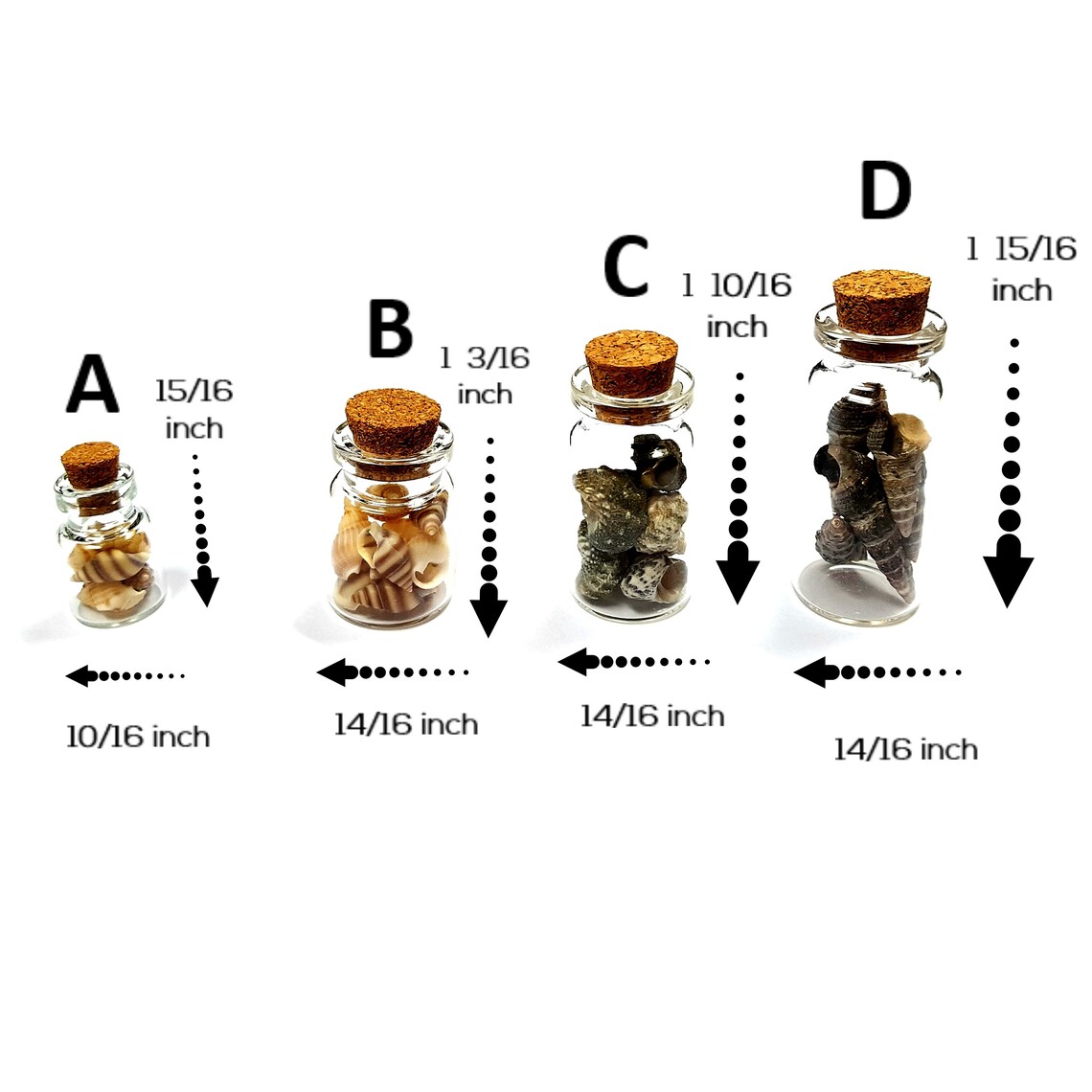 Small Seashells in Glass Jar With Cork for Beach Wedding Sea - Etsy