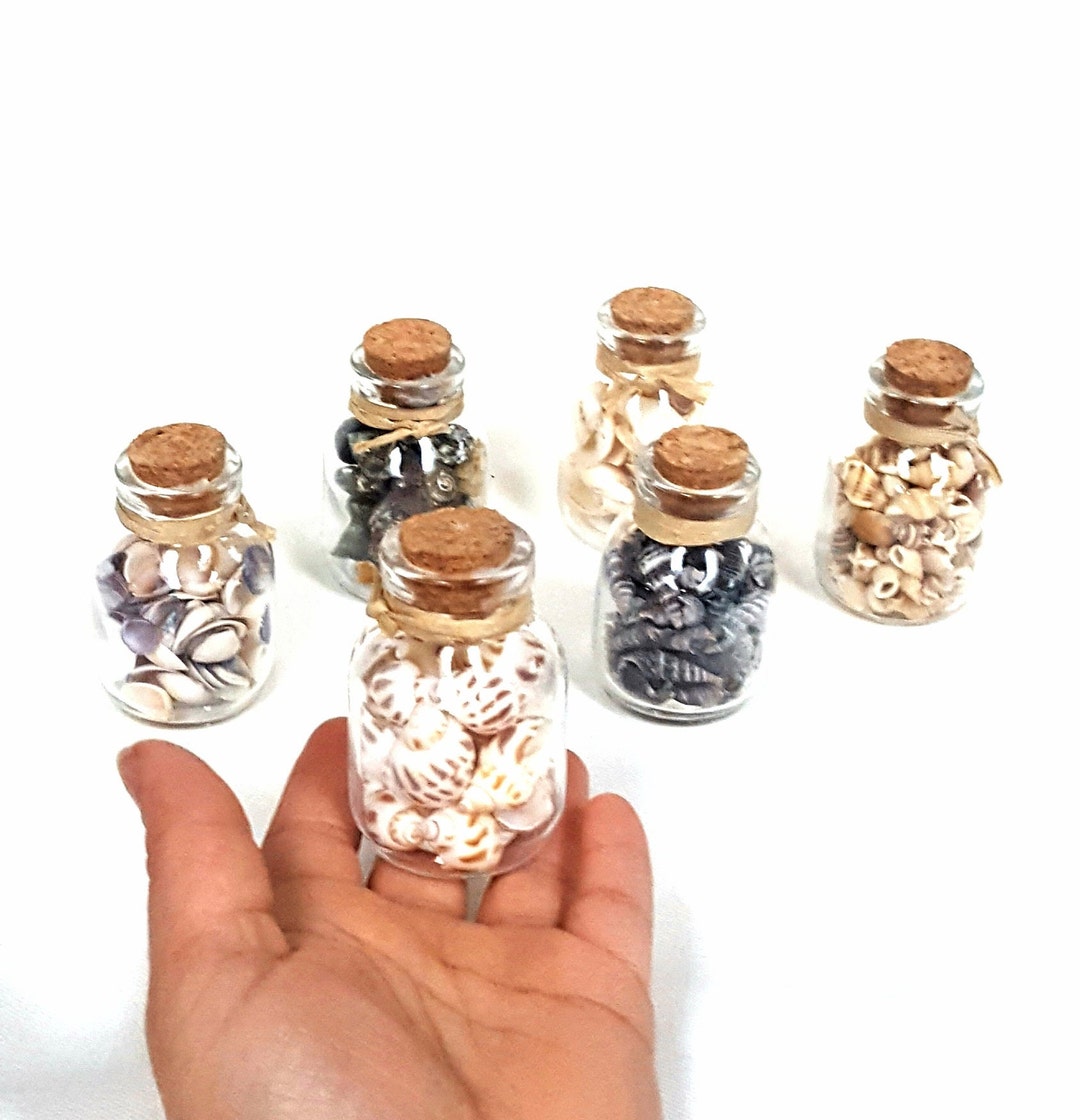 Tiny Seashells in Glass Jar With Cork, Beach Themed Party Favors ...