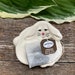 Ceramic Bunny Rabbit Dish, Bunny Teabag Holder, Bunny Spoon Rest. Bunny ...