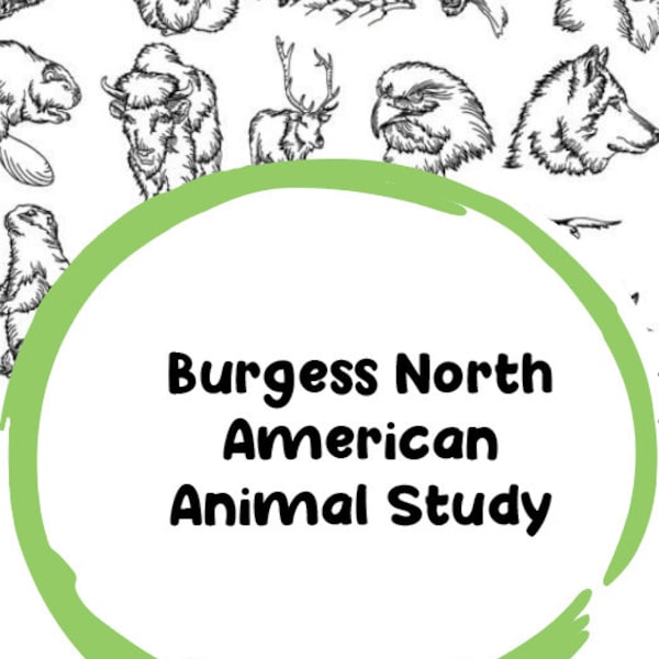 Animal Study - Etsy