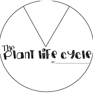 Plant Life Cycle Wheel - Etsy