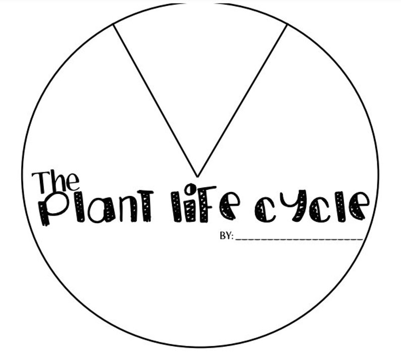 Plant Life Cycle Wheel - Etsy