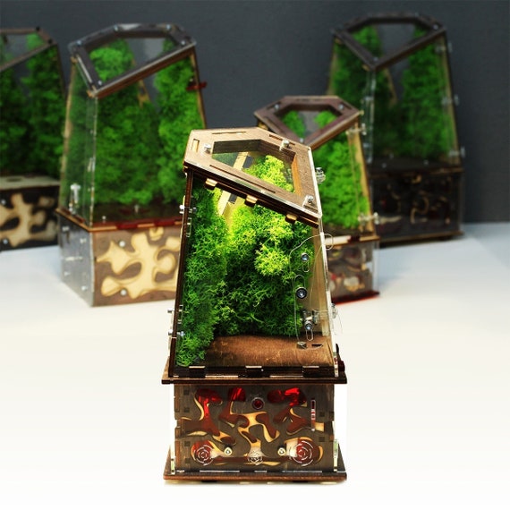 Ant Farm Designer Farm Perfect Home for Ants Custom Ant Farm | Etsy