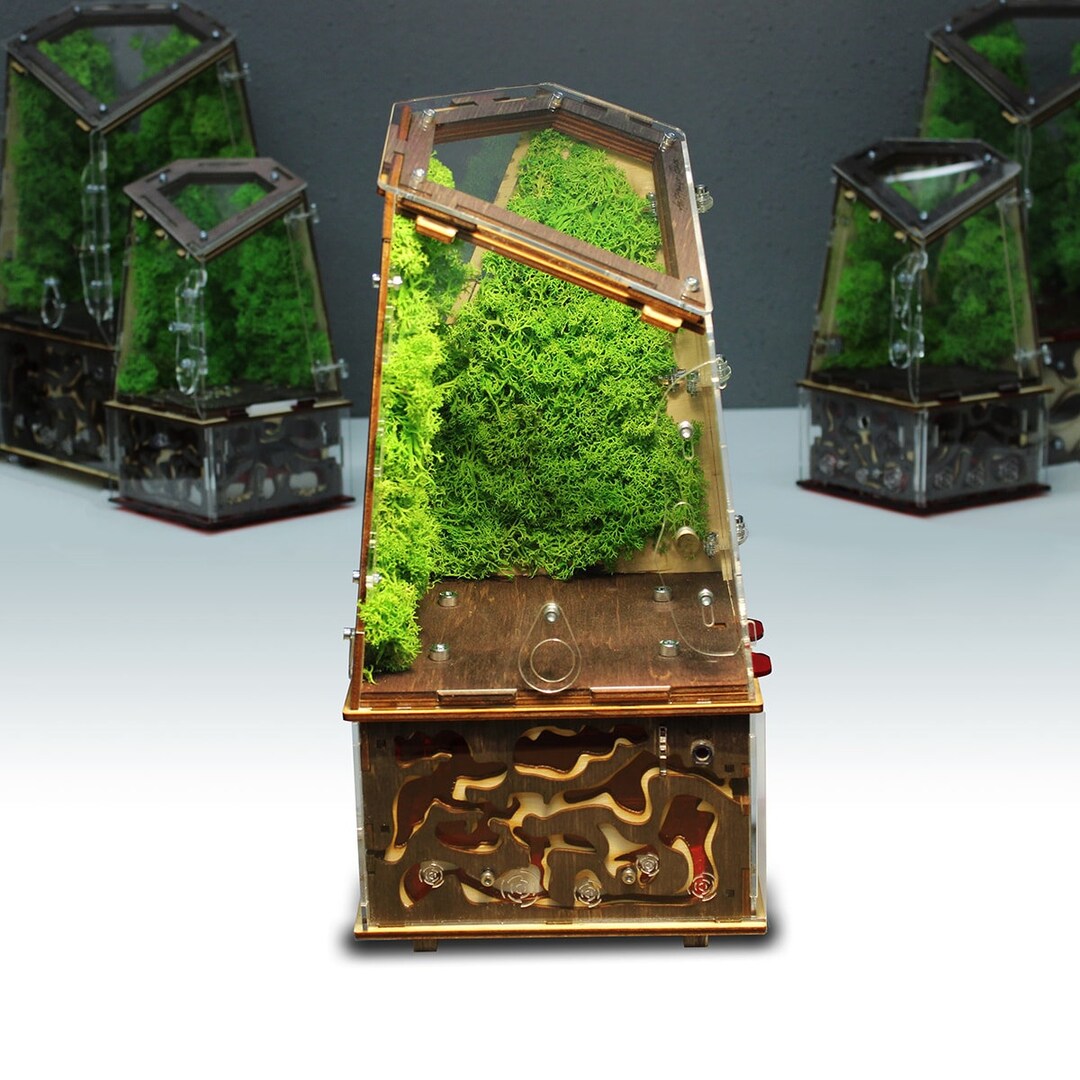 Custom Ant Farm Personalized Farm Perfect Home for Ants Vertical Ant ...