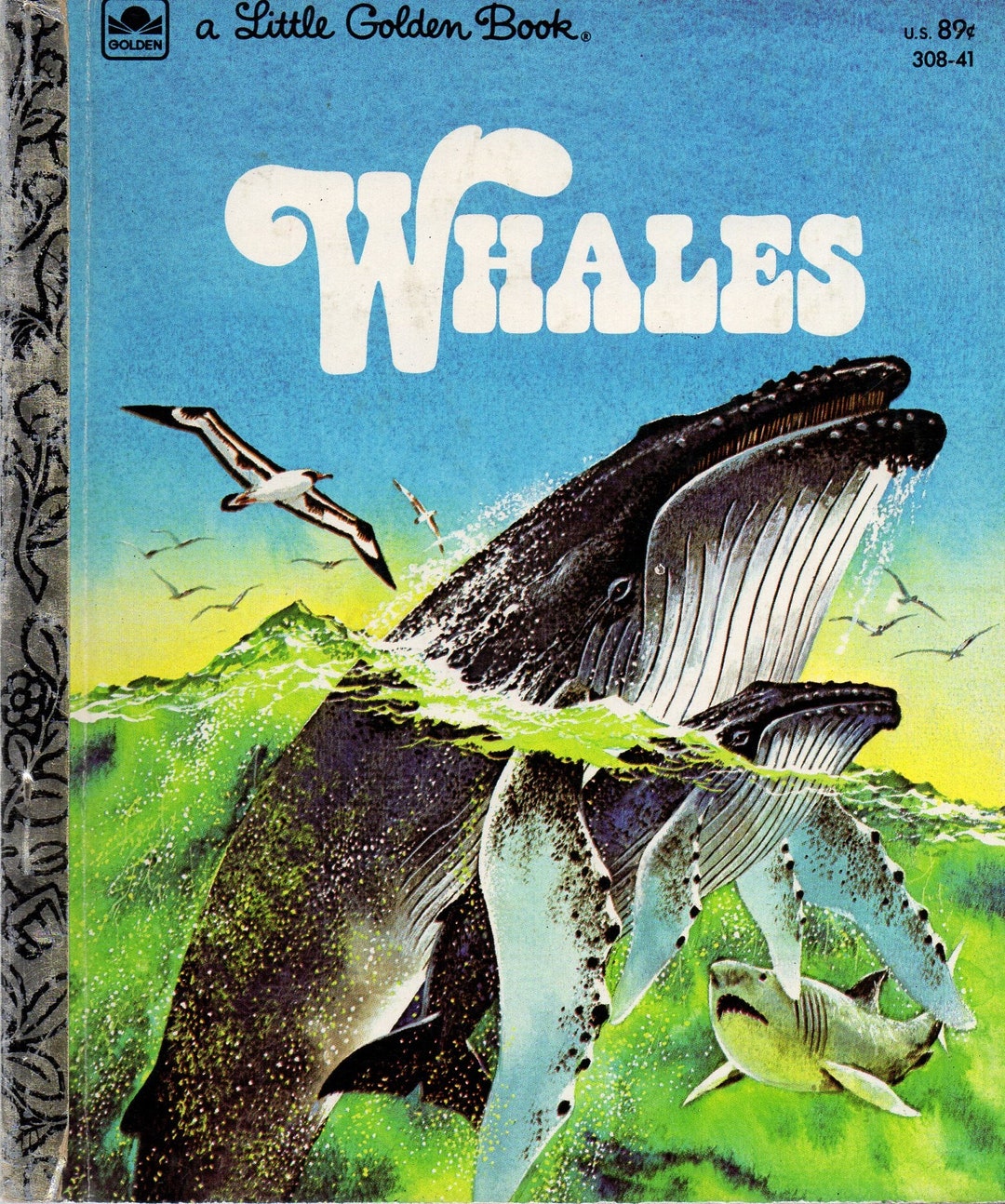 Whales Mammals Blowholes Live Births Food Habitat Hardcover Little ...