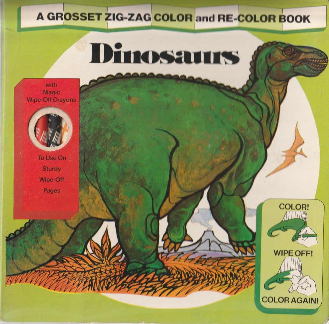 Dinosaurs Zig-zag Color and Recolor Book With Wipe off Pages and ...