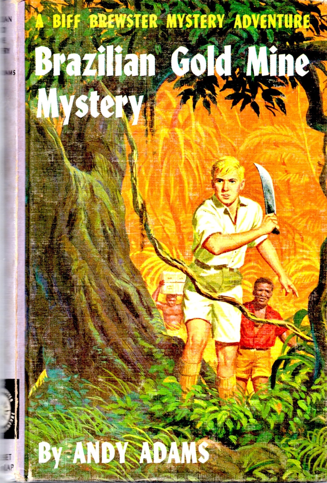 Brazilian Gold Mine Mystery Biff Brewster Adventure Hardcover Series ...
