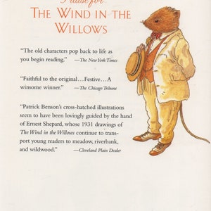 Wind in the Willows Adventures of Toad Mole Rat Badger Classic English ...