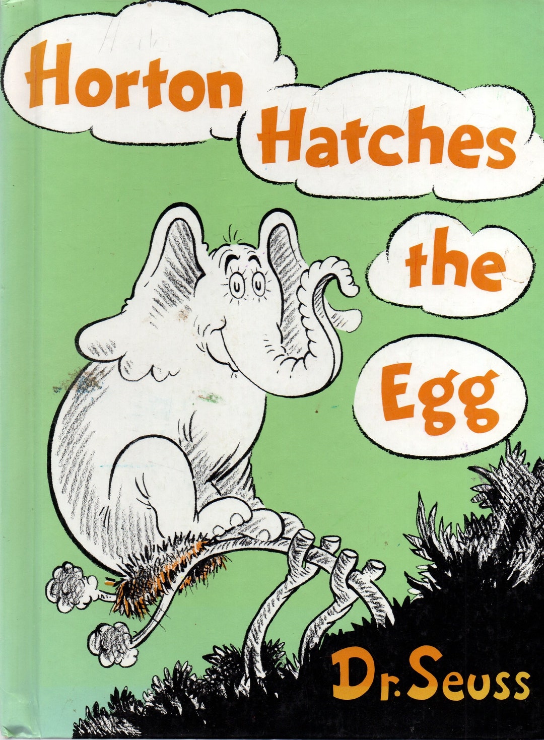 Horton Hatches the Egg an Elephant Sits on an Egg for a Lazy Bird ...