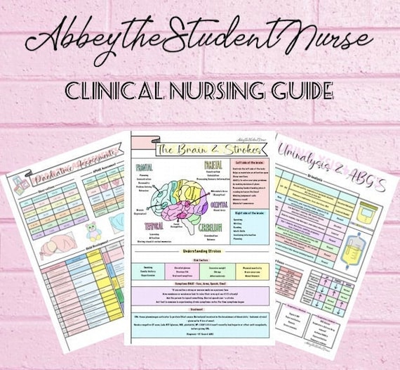 Digital Clinical Nursing Guide - Etsy