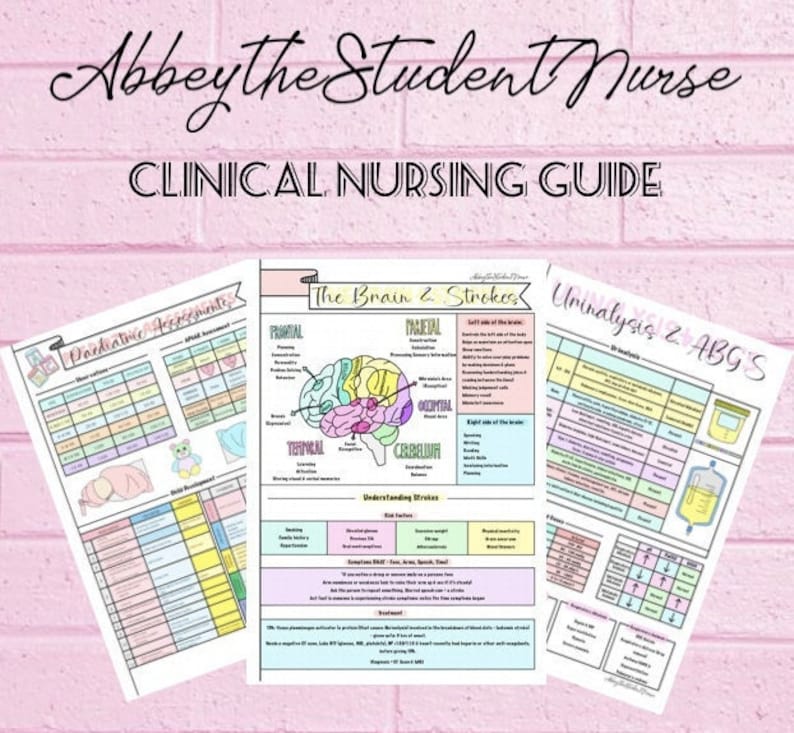 Digital - Clinical Nursing Guide - Etsy