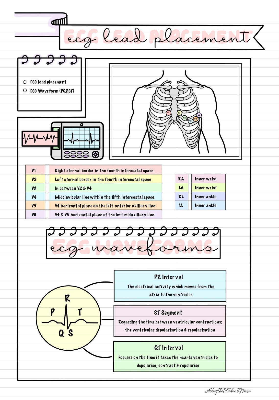 PDF Cardiology Notes | Etsy
