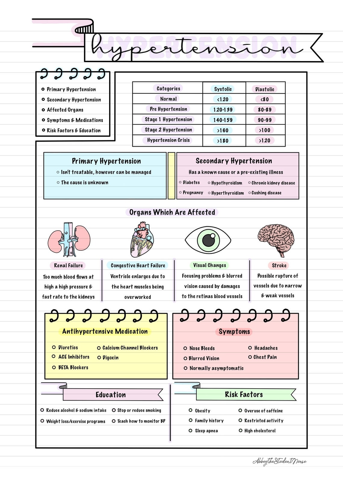 PDF - Cardiology Notes - Etsy Australia