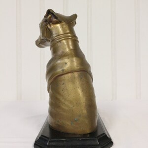 Large Brass Greyhound Bust Statue - Etsy