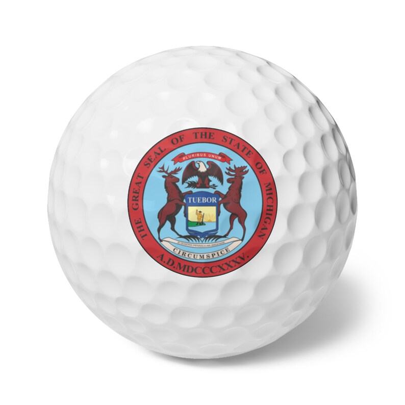Michigan Golf Balls (set of 6), Golf Gifts, Michigan Great Seal, United ...