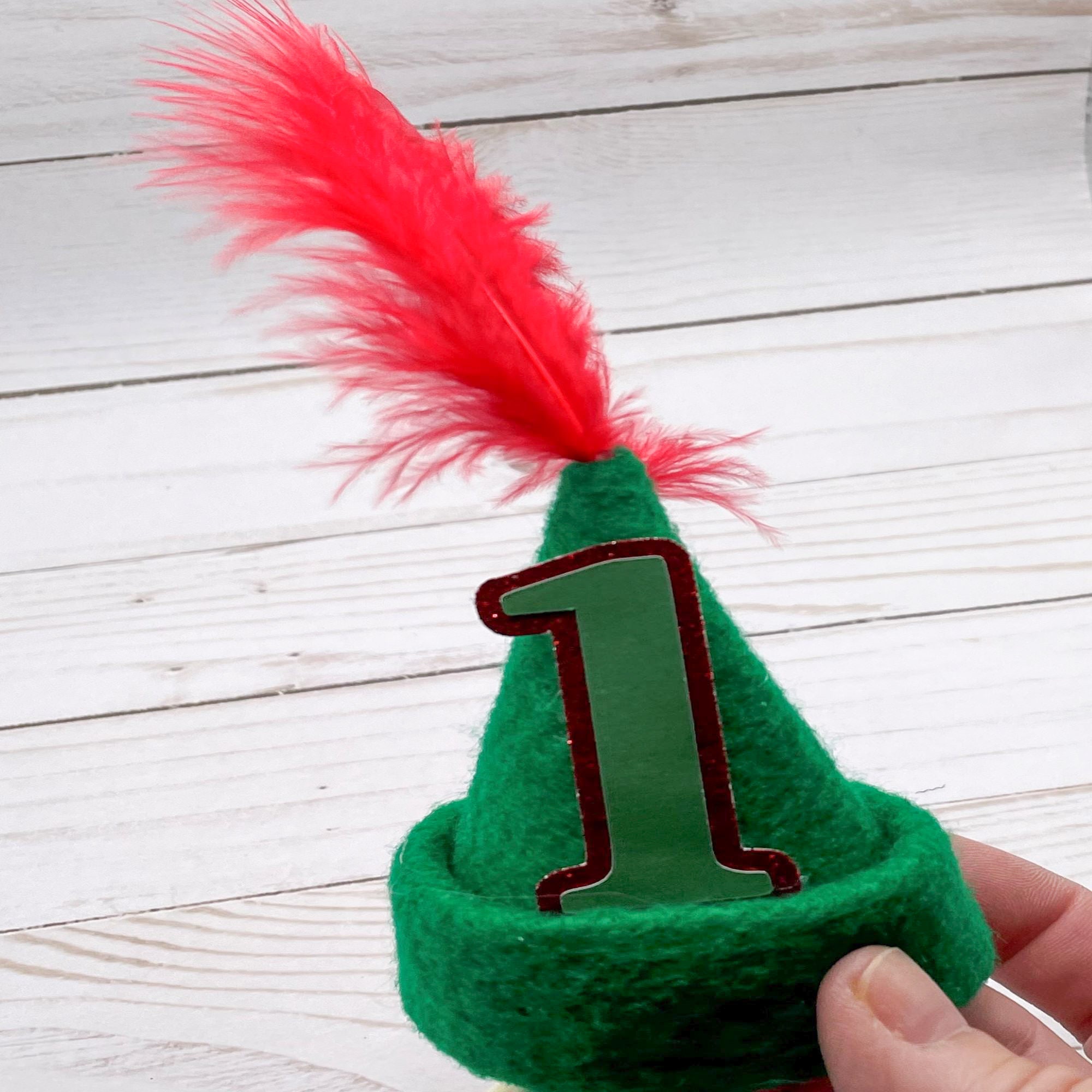 Peter Pan Theme First Birthday Peter Pan Party Peter Pan Hat - Etsy