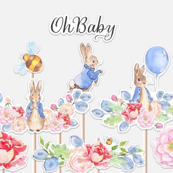 Peter Rabbit Cake Topper - Etsy
