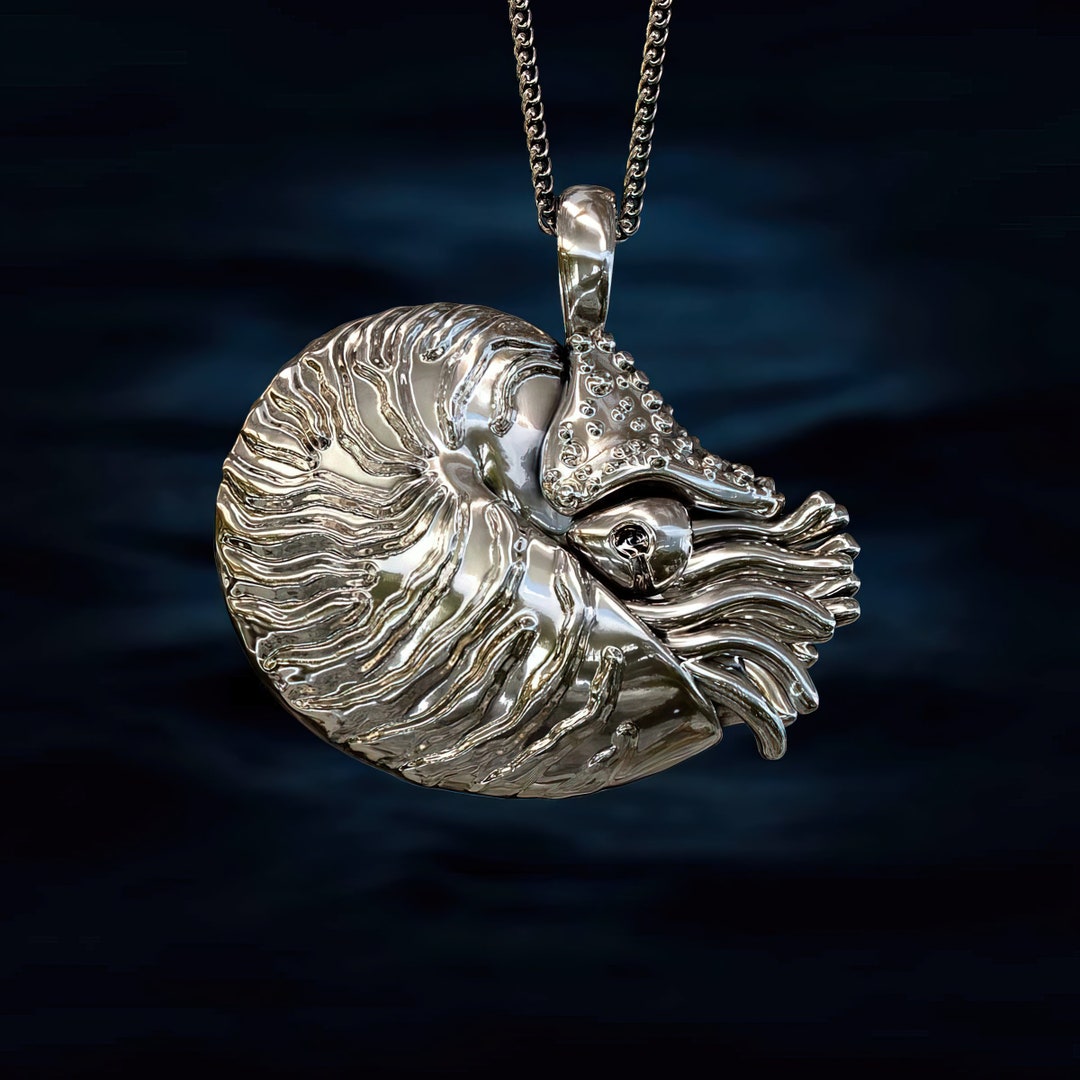 Nautilus Pendant for Necklace. Sea Shell Jewelry, Reversible Jewelry ...