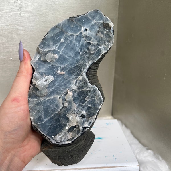 Chalcedony Geode - Etsy