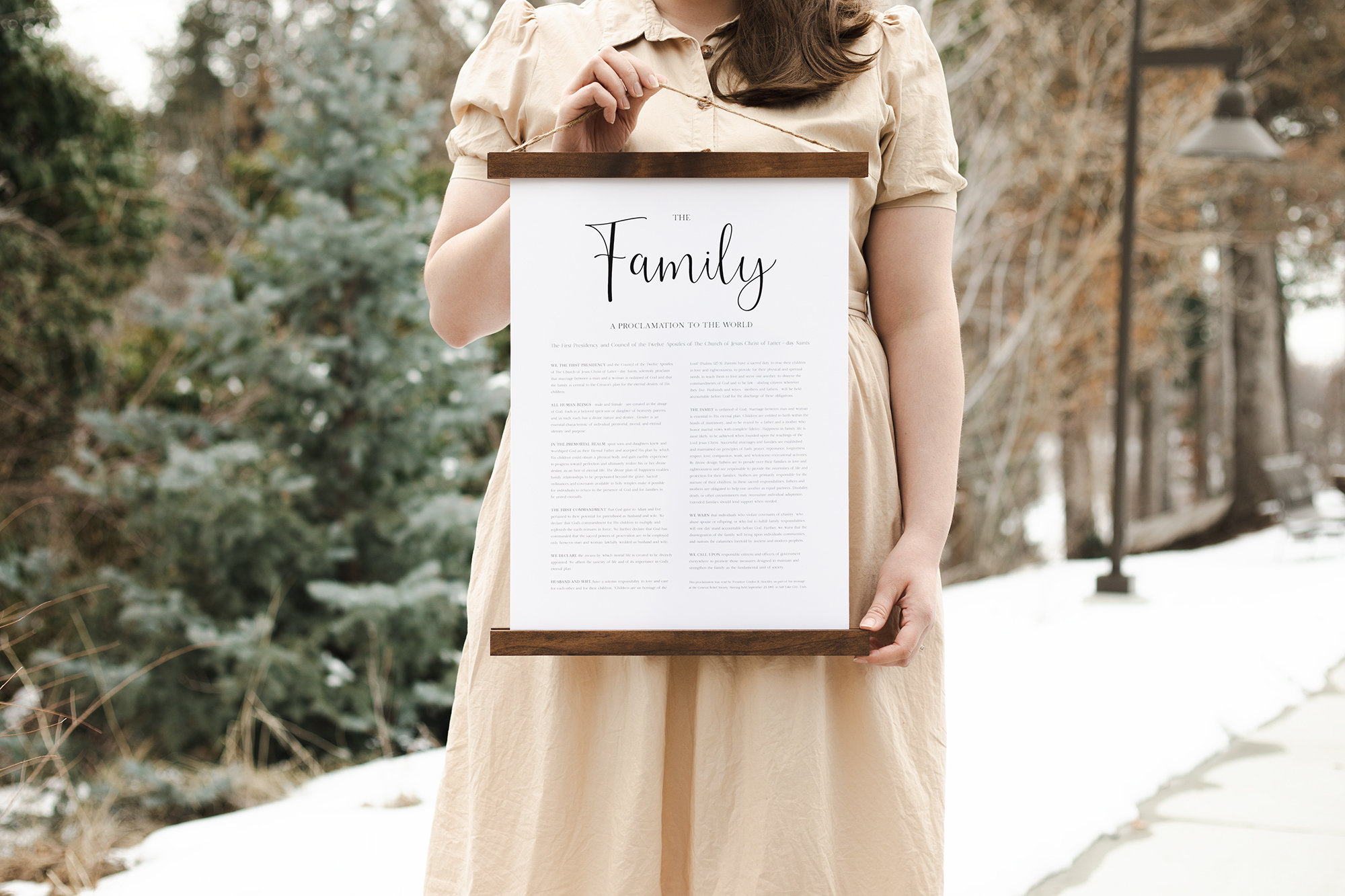 The Family: A Proclamation to the World Hanging Canvas LDS Proclamation ...