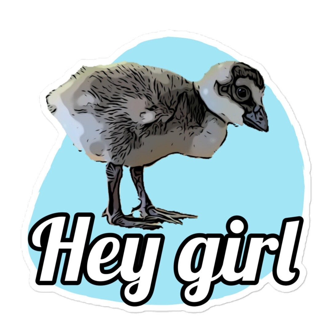 Hey Girl Gosling Sticker - Etsy