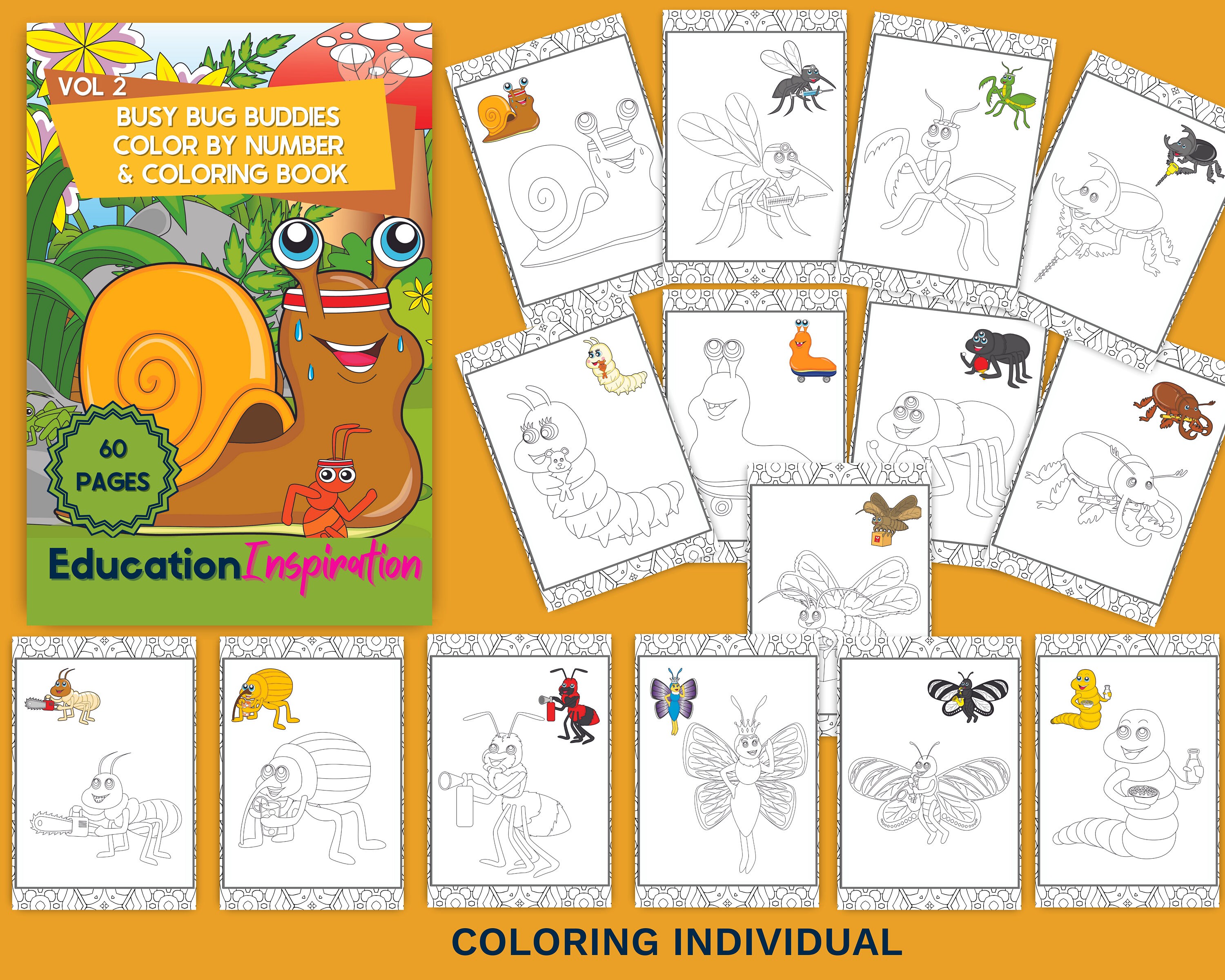 Bug Color by Number Coloring Bug Coloring Insect Coloring - Etsy