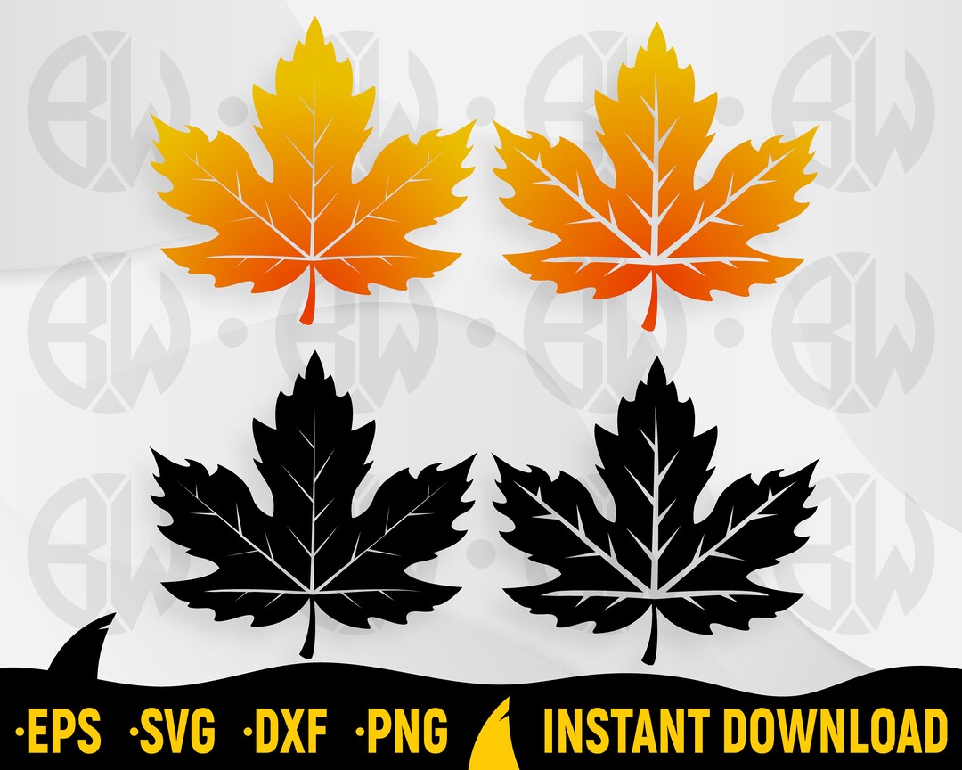 Maple Leaf SVG Cut Files for Cricut, Silhouette (digital Download) - Etsy