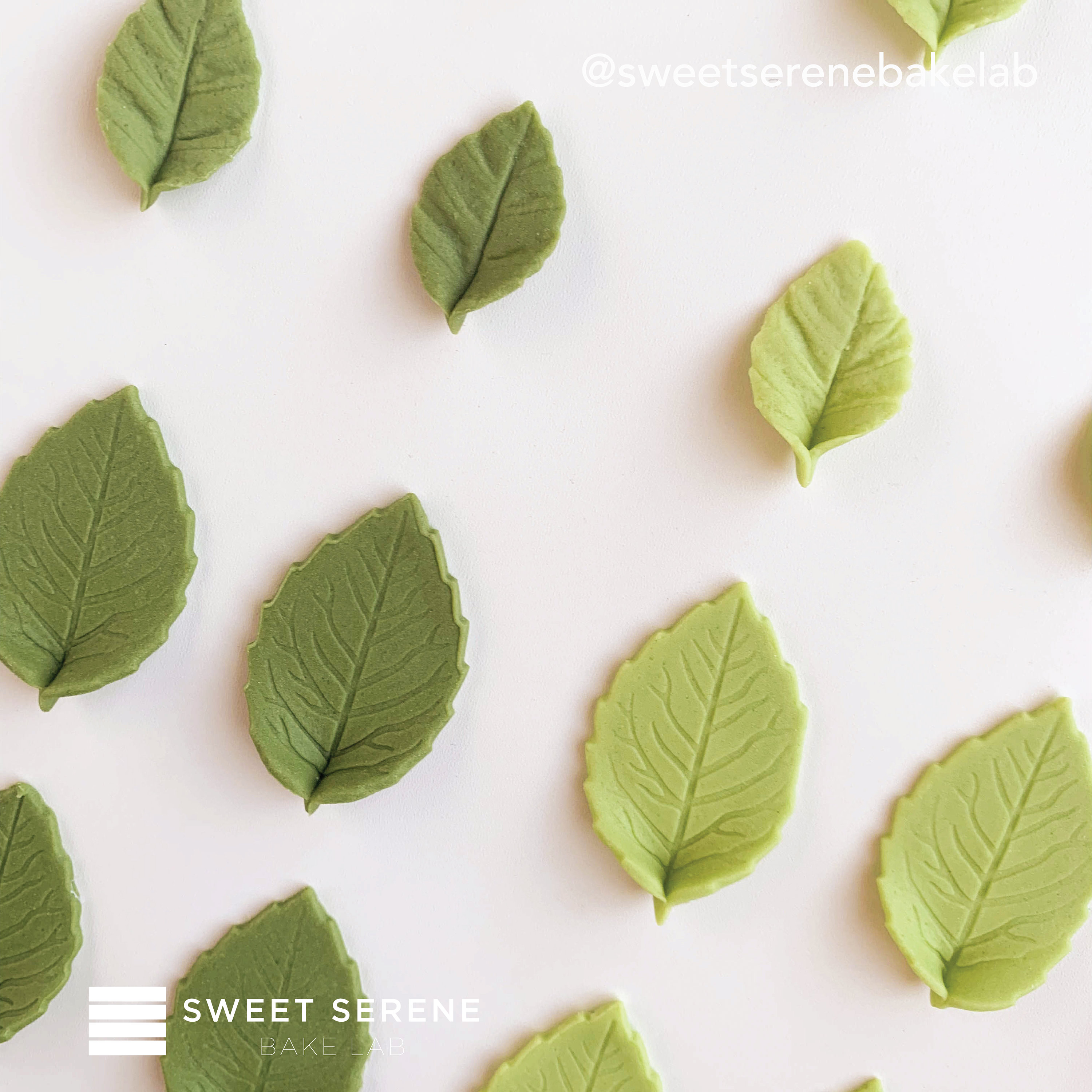 Edible Fondant Standard Leaf Decoration for Birthday Cake/ Cupcakes ...
