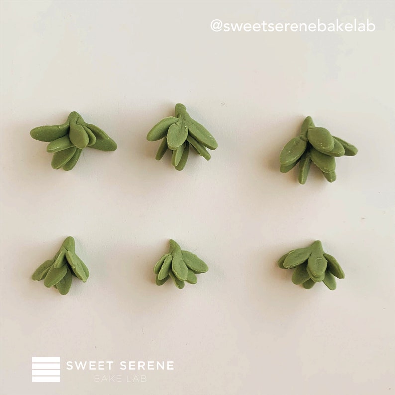 Edible Fondant Grass 3D Decoration for Birthday Cake/ Cupcakes Topper ...