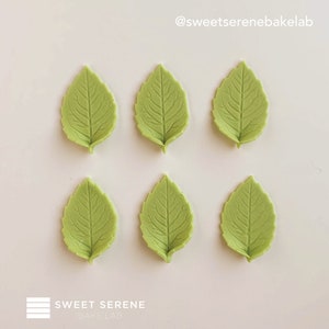 Edible Fondant Standard Leaf Decoration for Birthday Cake/ Cupcakes ...