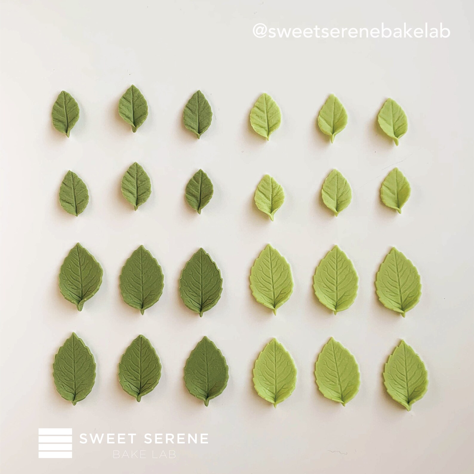 Edible Fondant Standard Leaf Decoration for Birthday Cake/ Cupcakes ...