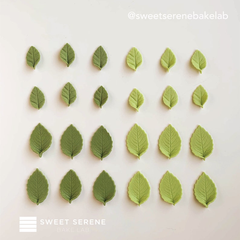 Edible Fondant Standard Leaf Decoration for Birthday Cake/ - Etsy