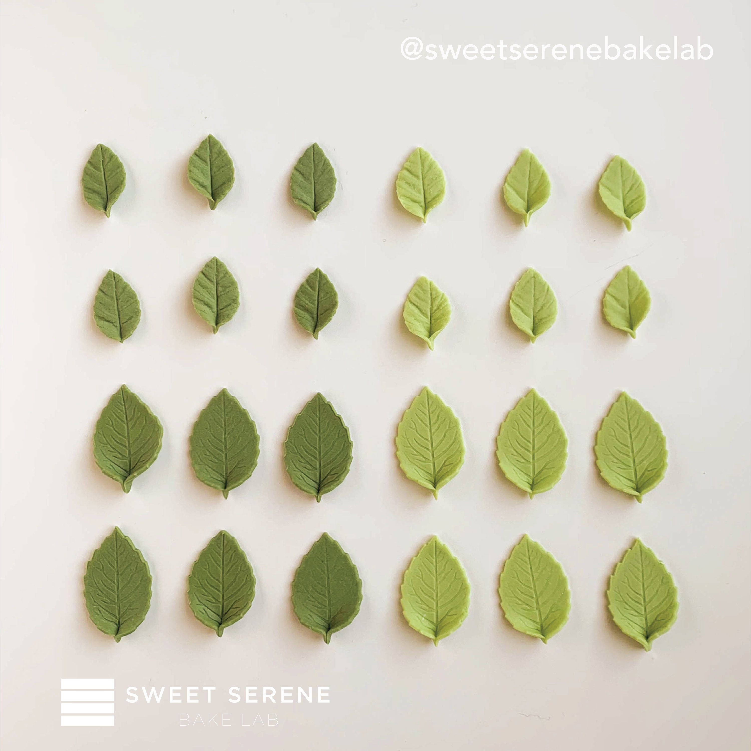 Edible Fondant Standard Leaf Decoration for Birthday Cake/ - Etsy