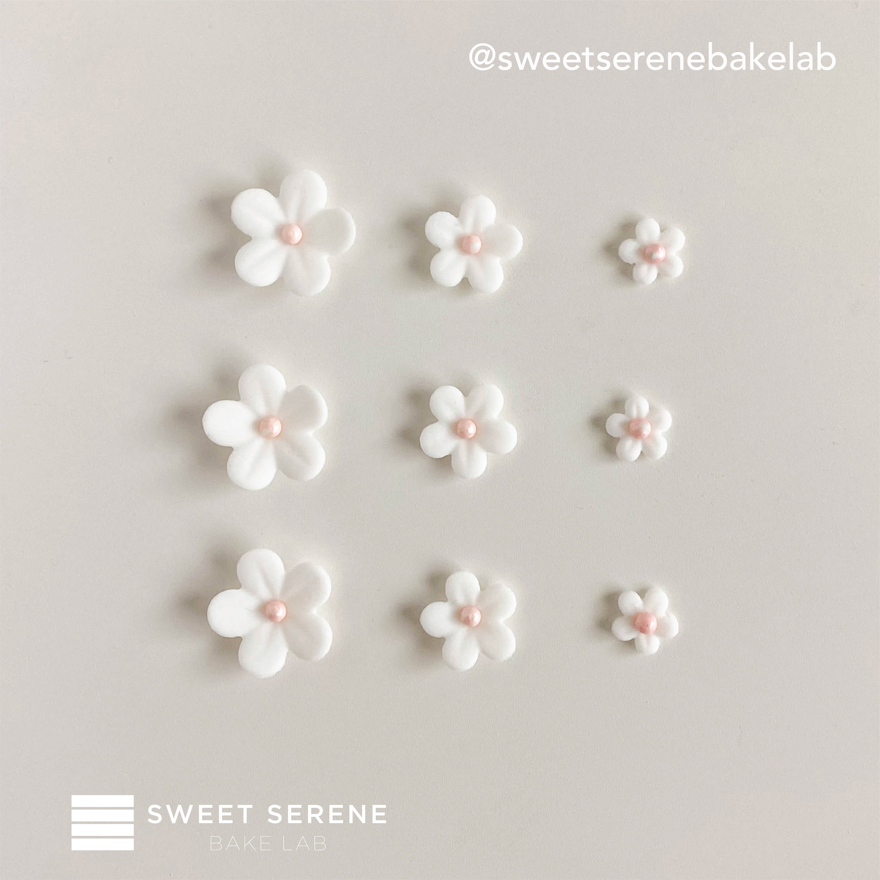 Edible Fondant Cherry Blossom/ Sakura Flower White With Pink Pearl ...