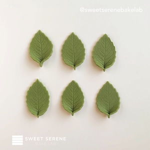 Edible Fondant Standard Leaf Decoration for Birthday Cake/ Cupcakes ...