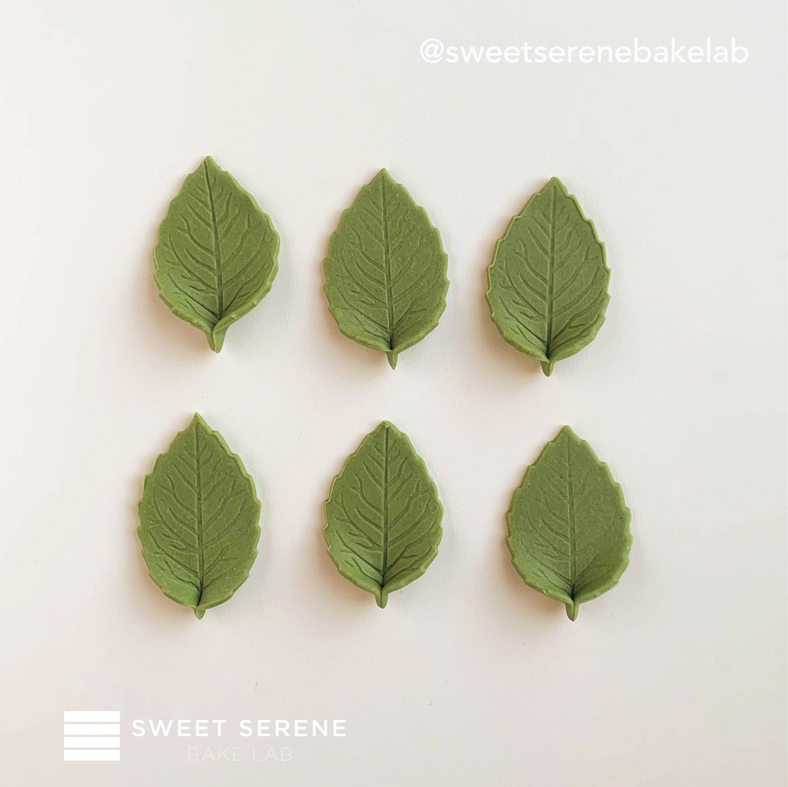 Edible Fondant Standard Leaf Decoration for Birthday Cake/ Cupcakes ...
