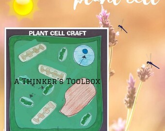 Plant and Animal Cell Study Science BUNDLE - Etsy